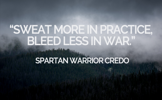 Sweat more in Practice, Bleed less in War | The CVM Blog