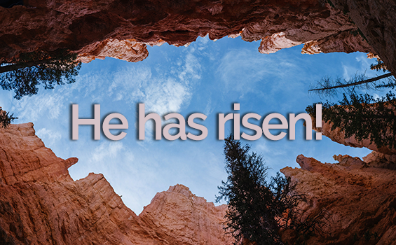 He has risen! | The CVM Blog